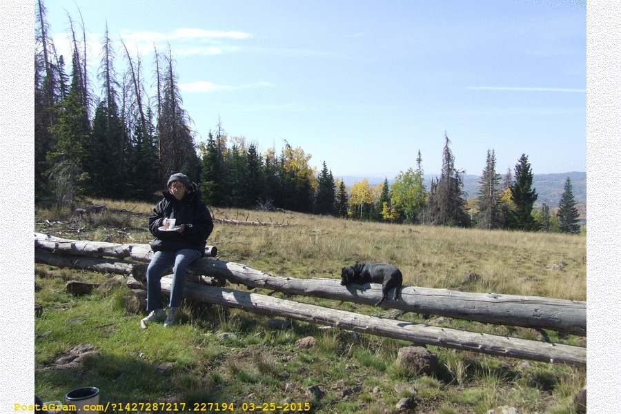 PostaGram - Send Real Paper Postcards from any device